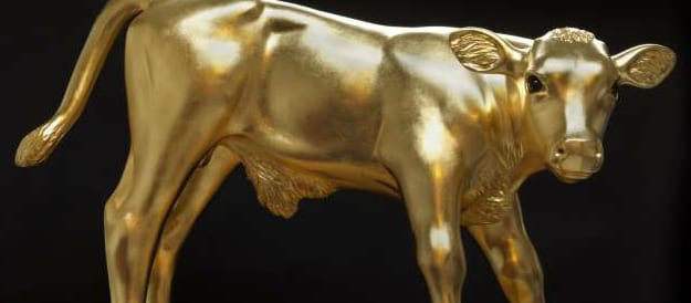 Il Figliol Prodigo e il Vitello d'Oro - Crossroads Initiative