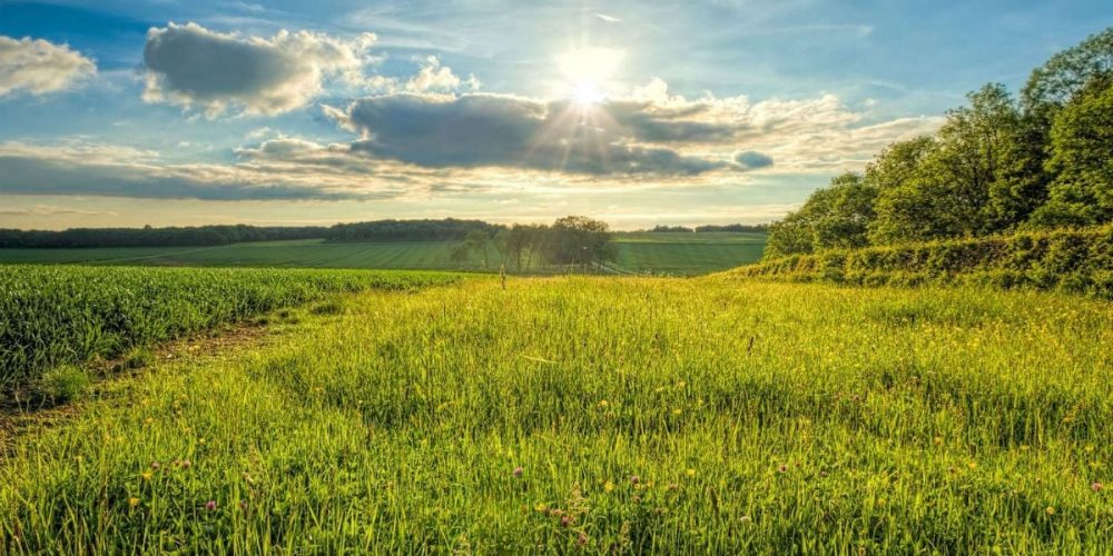 Good Shepherd green pasture facebook - Crossroads Initiative