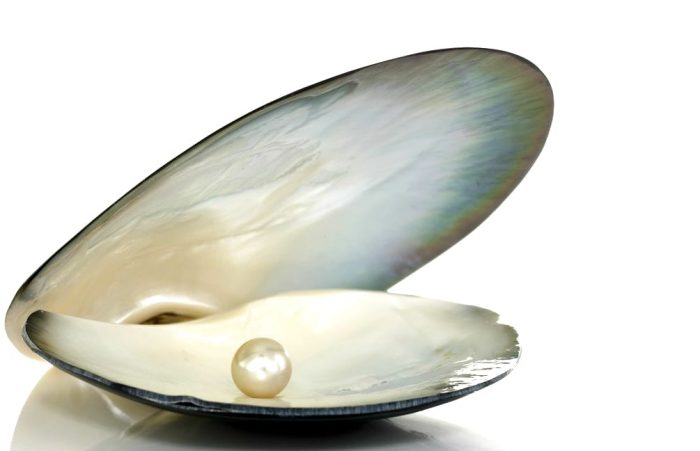 is the kingdom of god liberal or conservative pearl - Crossroads Initiative