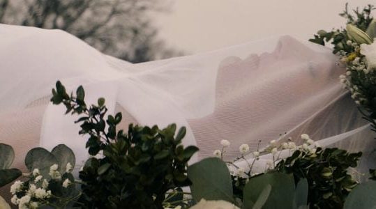 Man Fully Alive is the Glory of God - Irenaeus - Crossroads Initiative