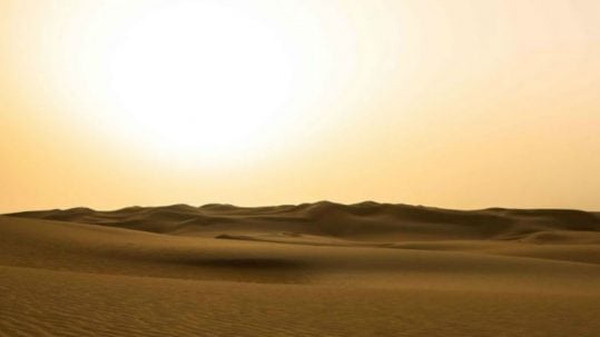 Lent - 40 Lenten Ideas to Get More Out of the Season