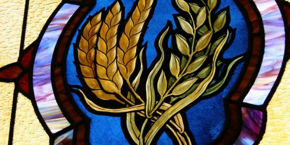 ignatius of antioch - i am gods wheat public domain - Crossroads Initiative