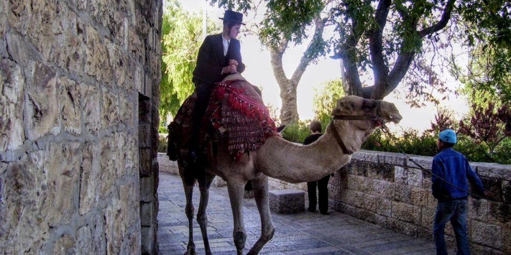 Jerusalem, City of David - Podcast - Crossroads Initiative