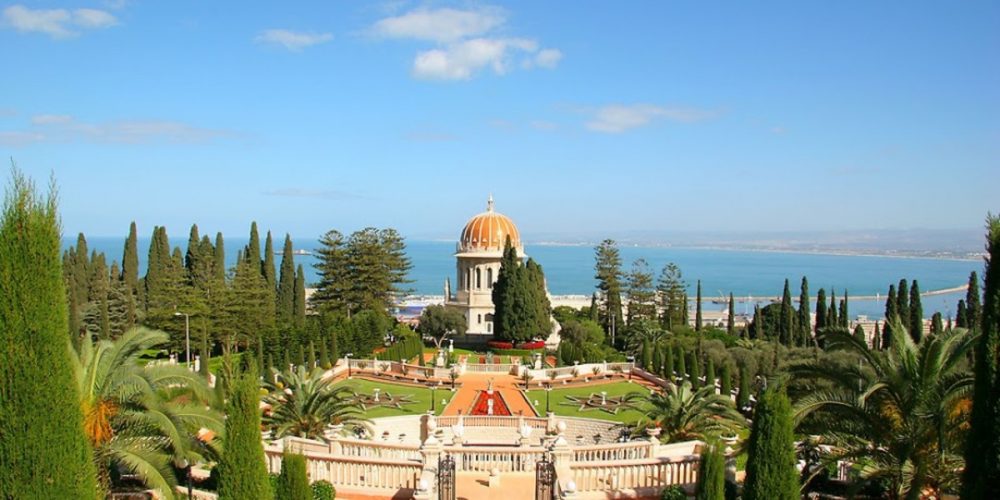 Mount Carmel, Vineyard of God - Podcast - Crossroads Initiative